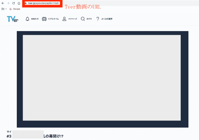 PCでTverの動画をダウンロード/保存する方法