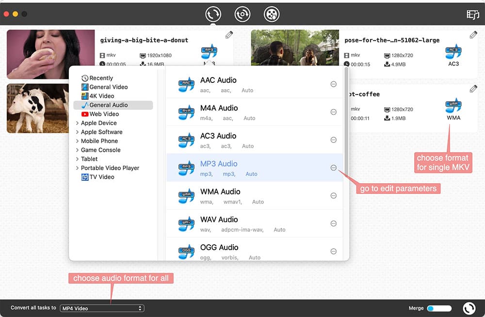 5 Tested Ways to Extract Audio from MKV Easily