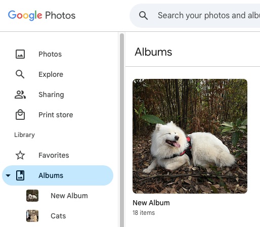 How to Find & Bulk Remove Duplicates in Google Photos 2024