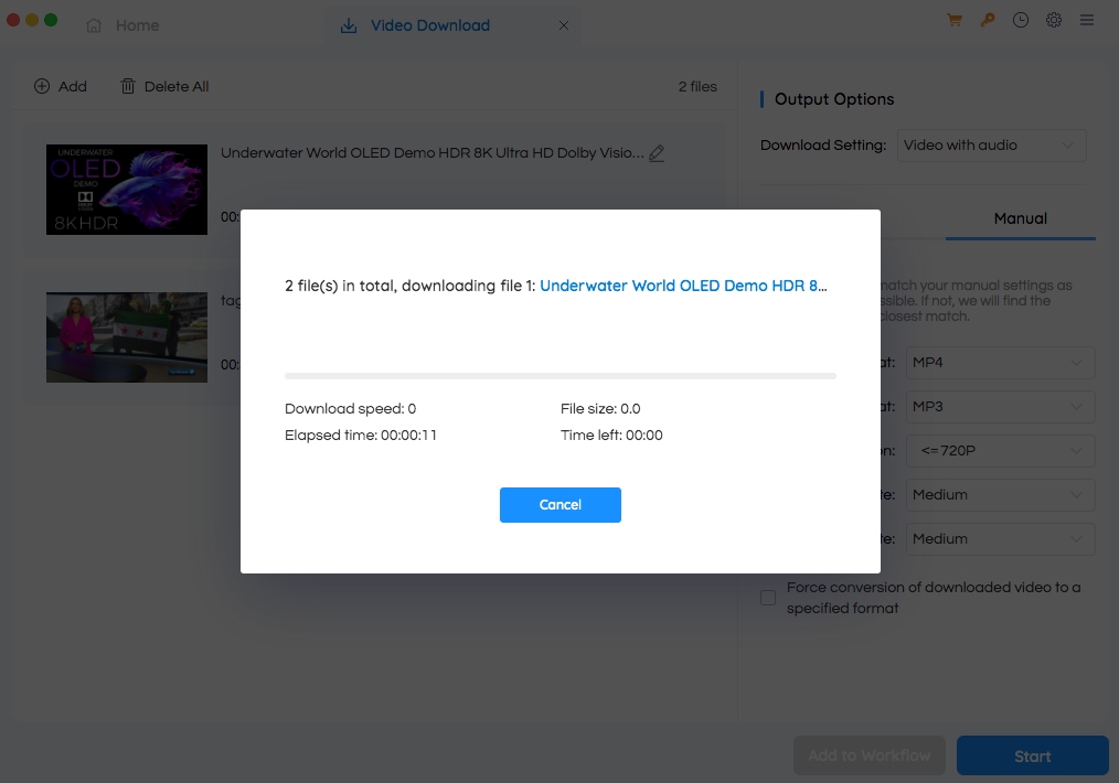Die 8 besten YouTube Video Downloader für Windows 11/10