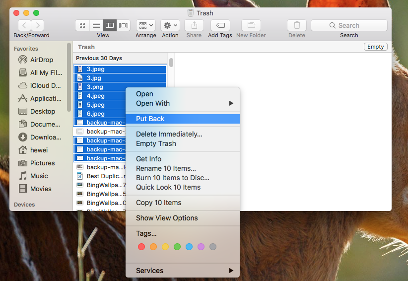 How to Recover Deleted Files on Windows and Mac