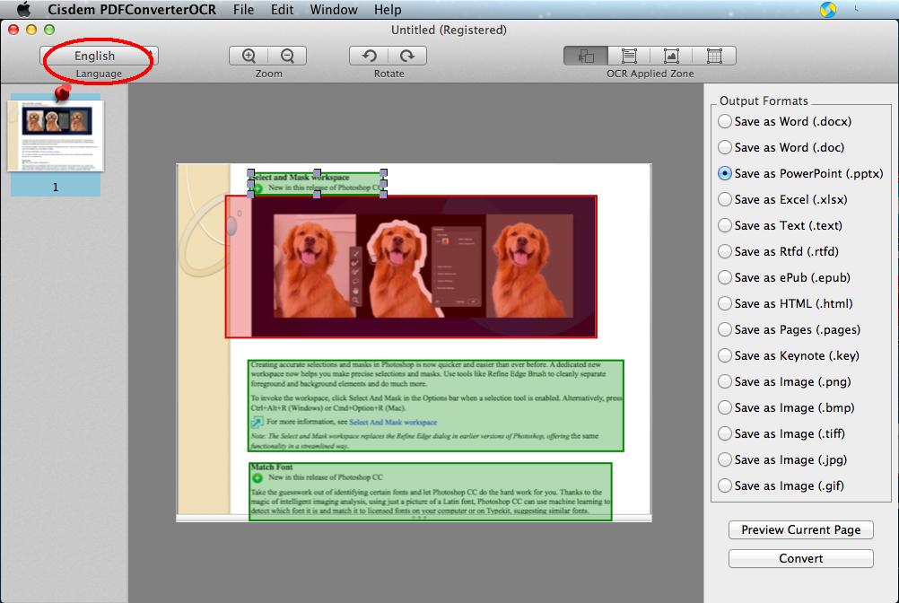 3 Most Common PDF-to-PPT Issues on Mac and How to Fix Them